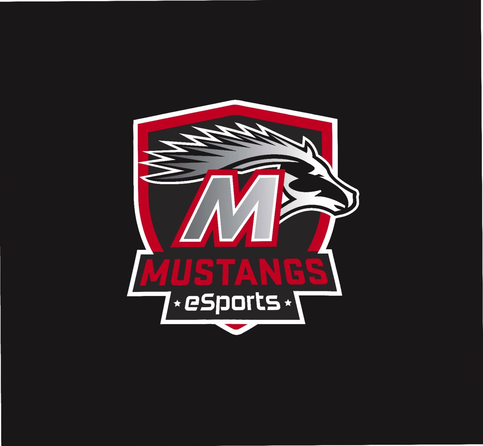 MCCC eSports Program Ready to Level Up, Adding New Teams, Games