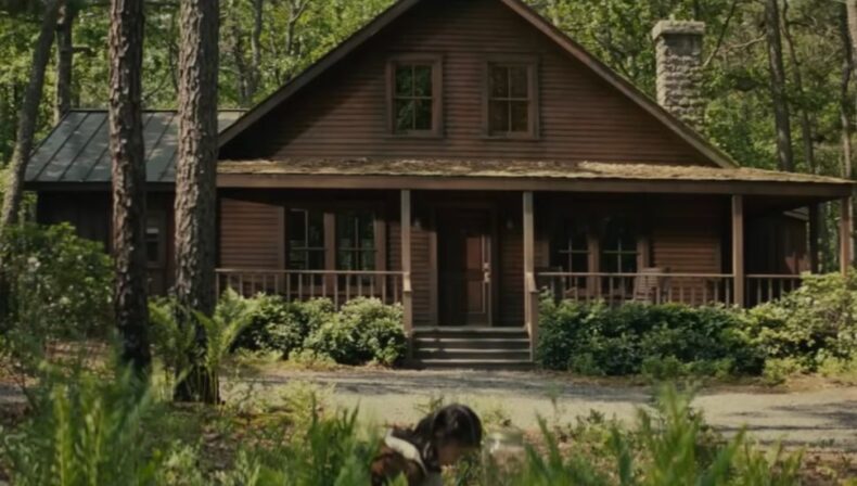 Chester County's M. Night Shyamalan Filmed New Horror Movie in Woods of ...