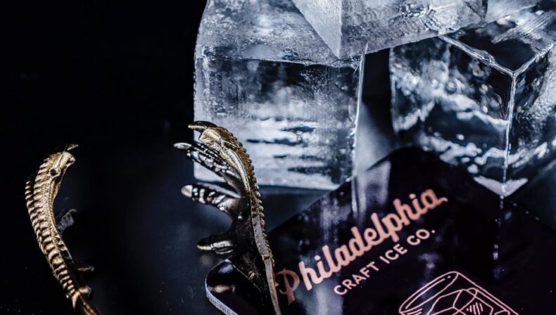 Yes, Designer Ice Is a Real Thing and You Can Order Some Right Here in ...
