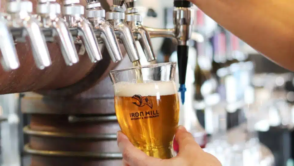 Iron Hill Brewery & Restaurant Returns to Huntingdon Valley After Fall ...